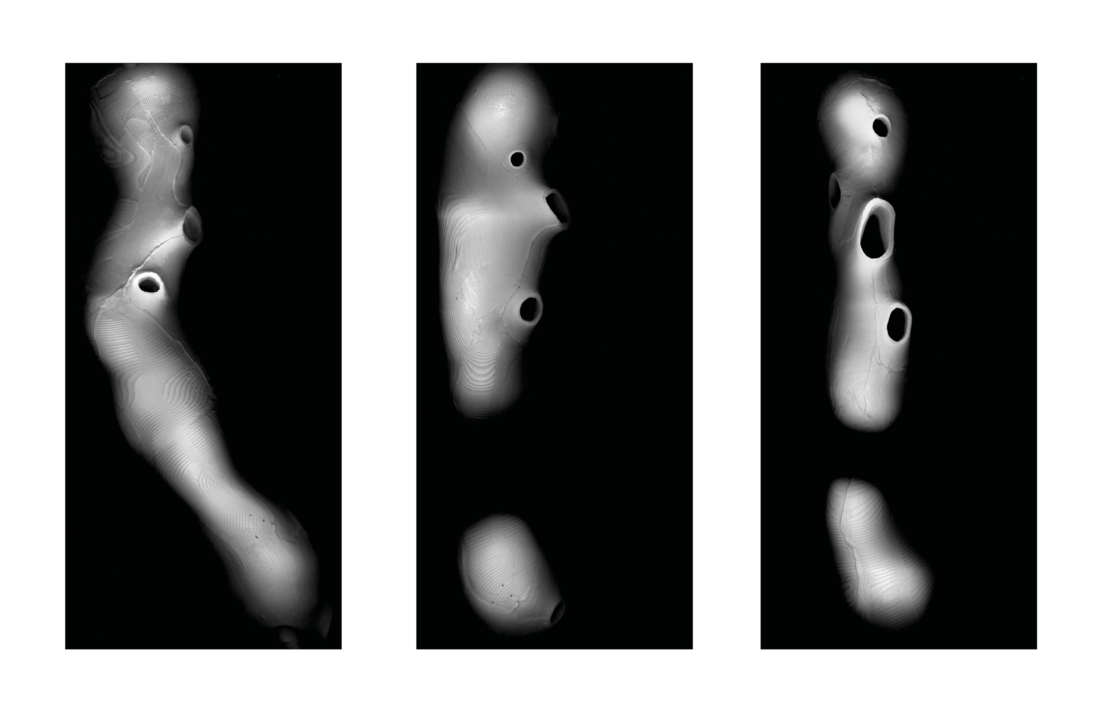 ALEX BORRELL – X-STUDIO