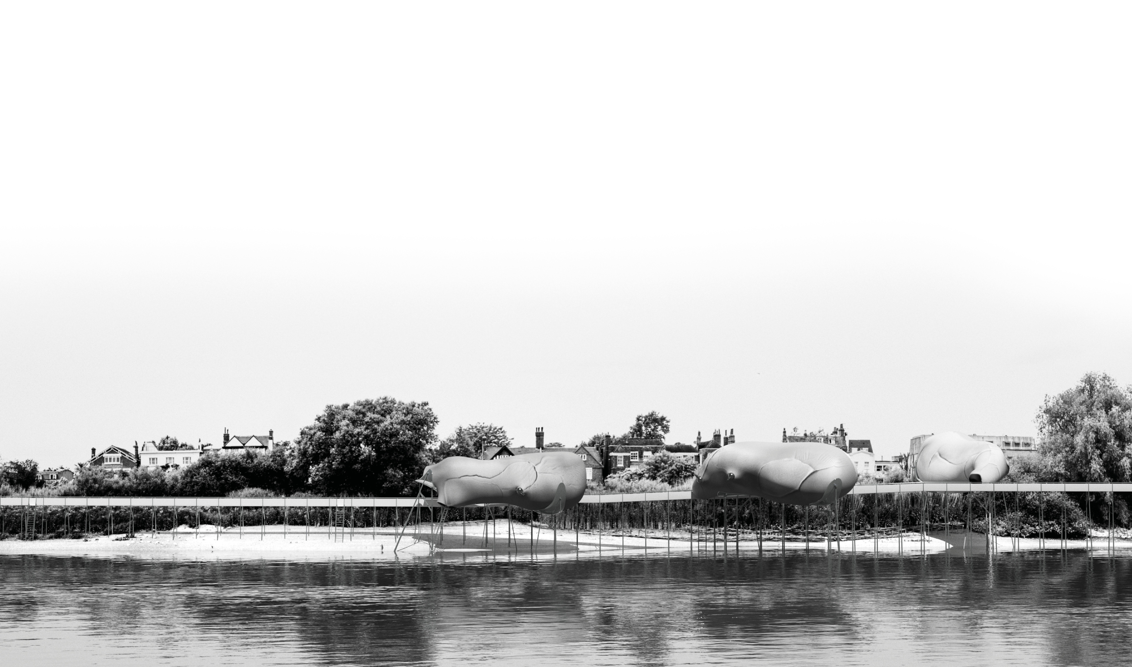 ALEX BORRELL – X-STUDIO