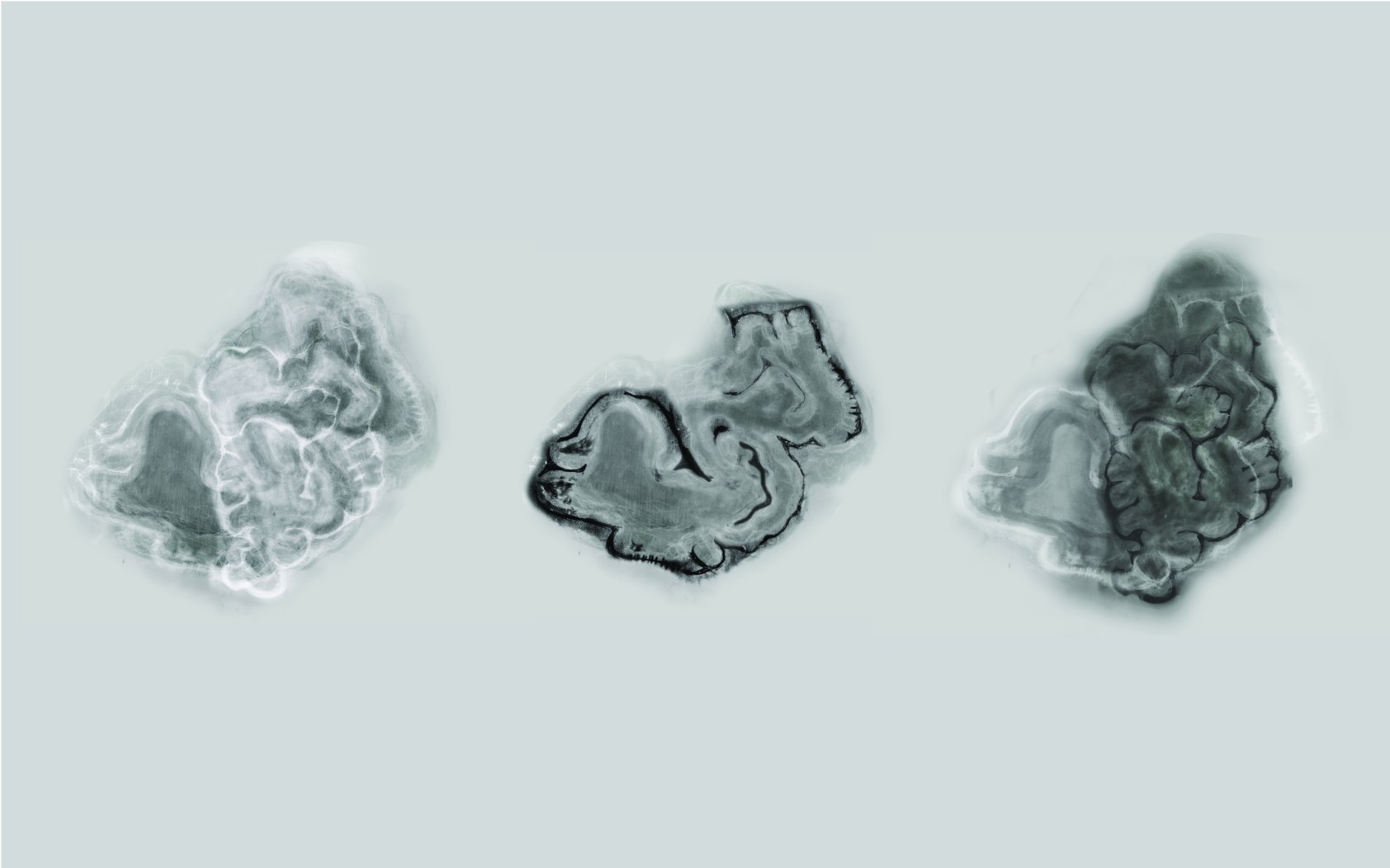 HANNA HENDRICKSON-REBIZANT – X-STUDIO