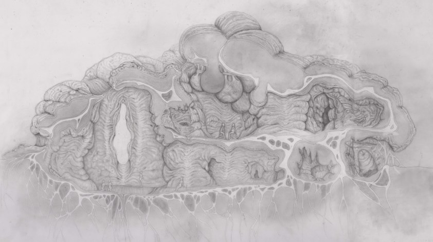 HANNA HENDRICKSON-REBIZANT – X-STUDIO